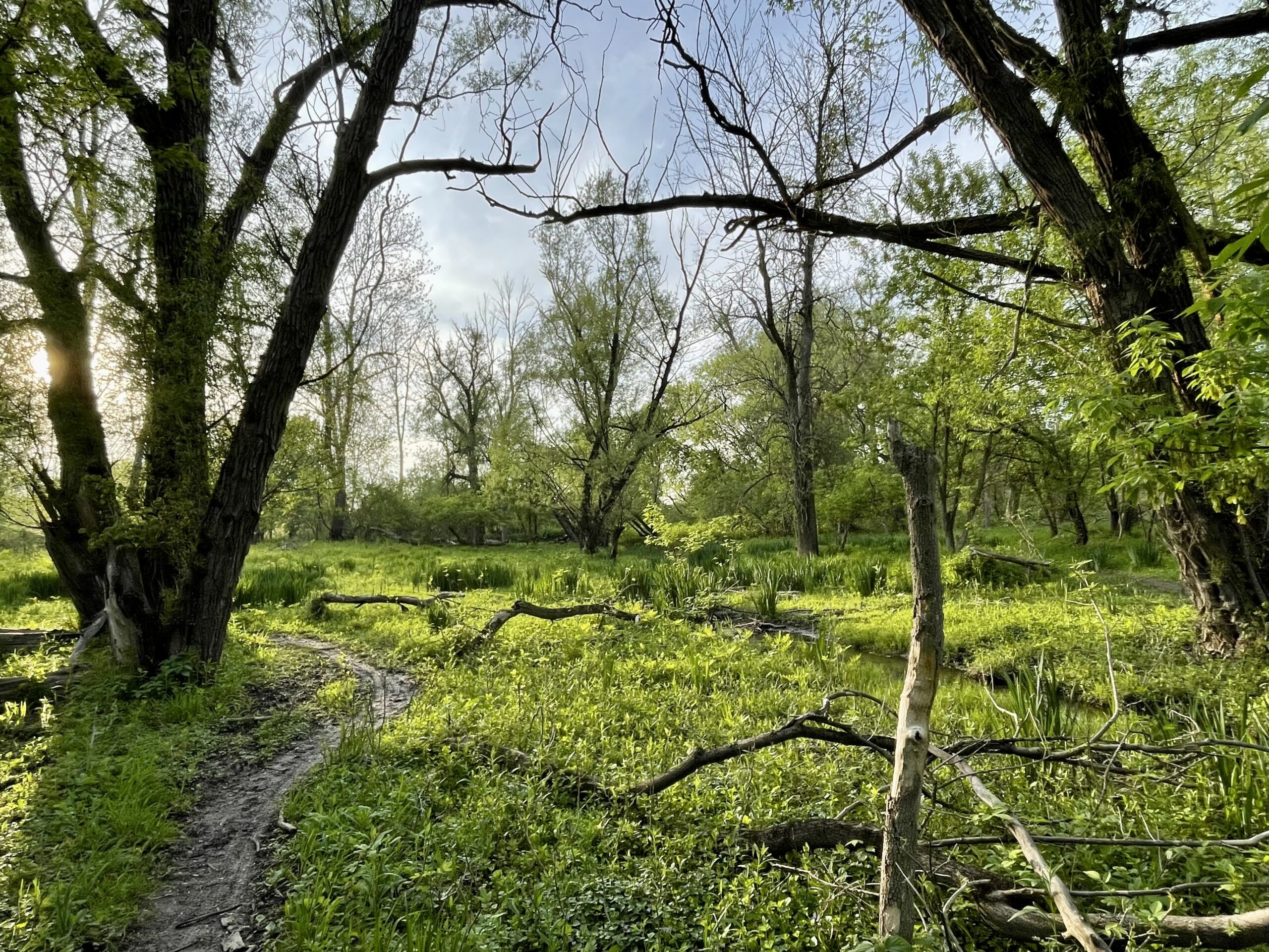 Know Before You Go Amherst State Park - Adventuring With Friends