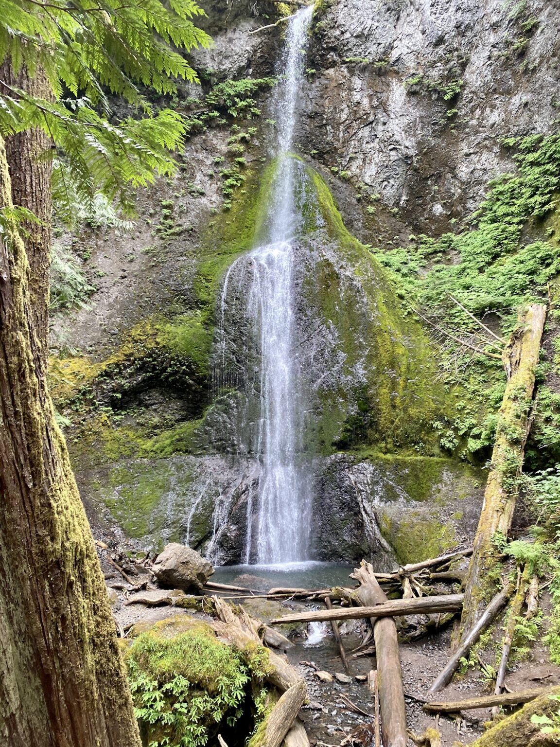 Ultimate 8 Day Pacific Northwest (PNW) Itinerary: Part 1