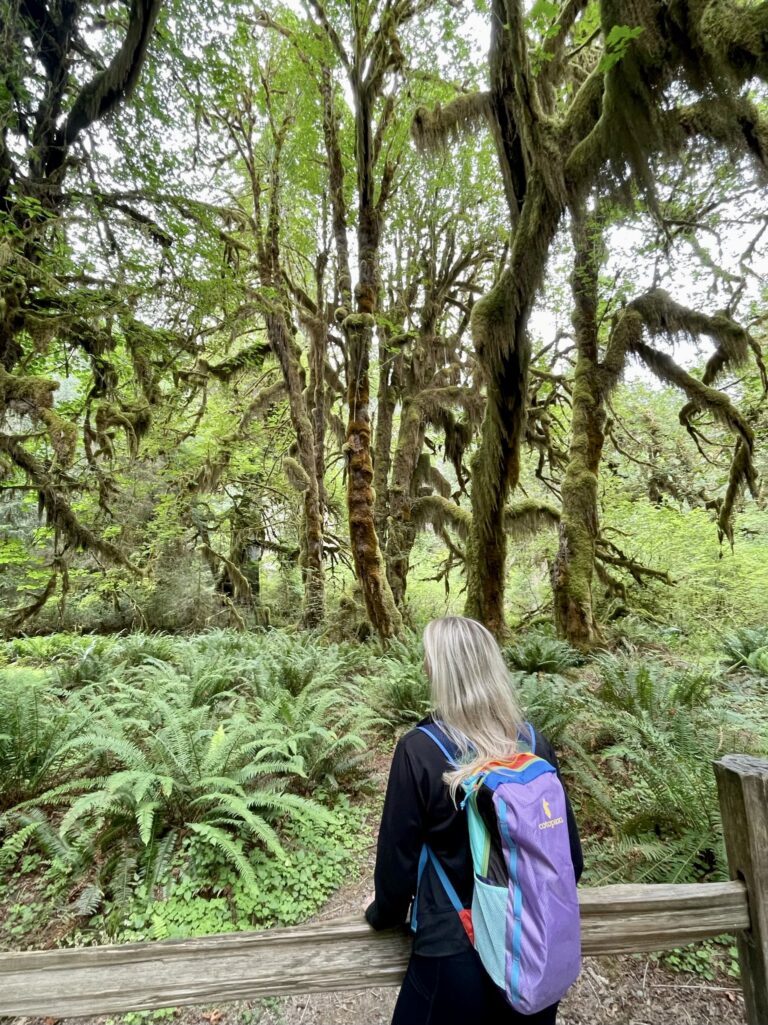 Ultimate 8 Day Pacific Northwest (PNW) Itinerary: Part 1