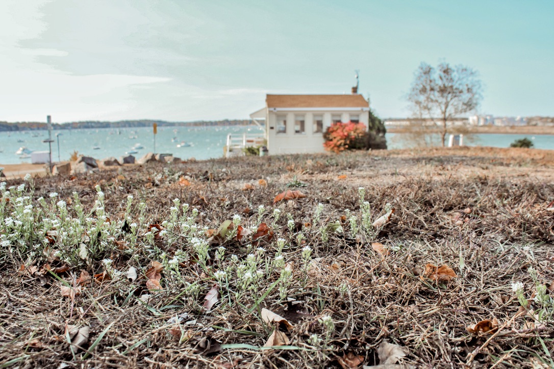 Two Day Itinerary for Salem, MA - Adventuring With Friends