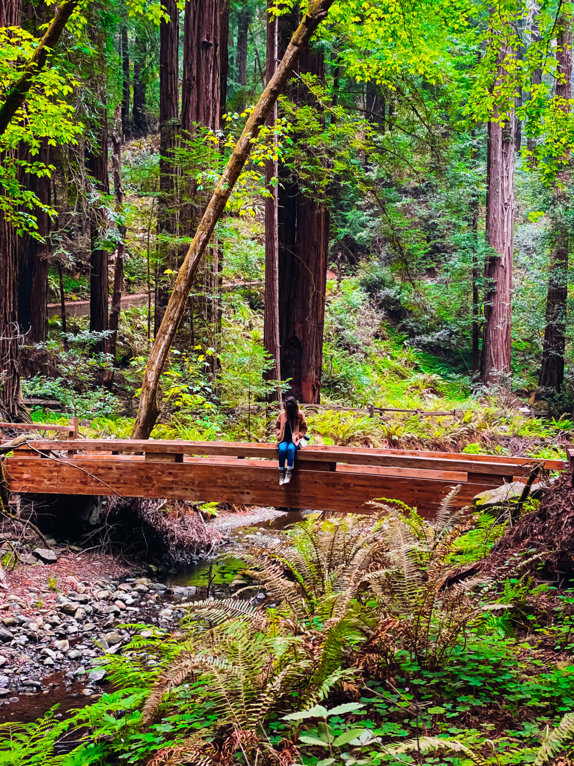 2 Ways To Explore Napa Valley and Sonoma Wineries On A Budget